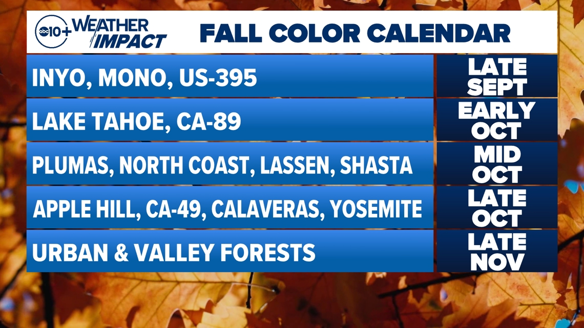 10 things to know about the new 279 area code "overlay" for the 916 ...
