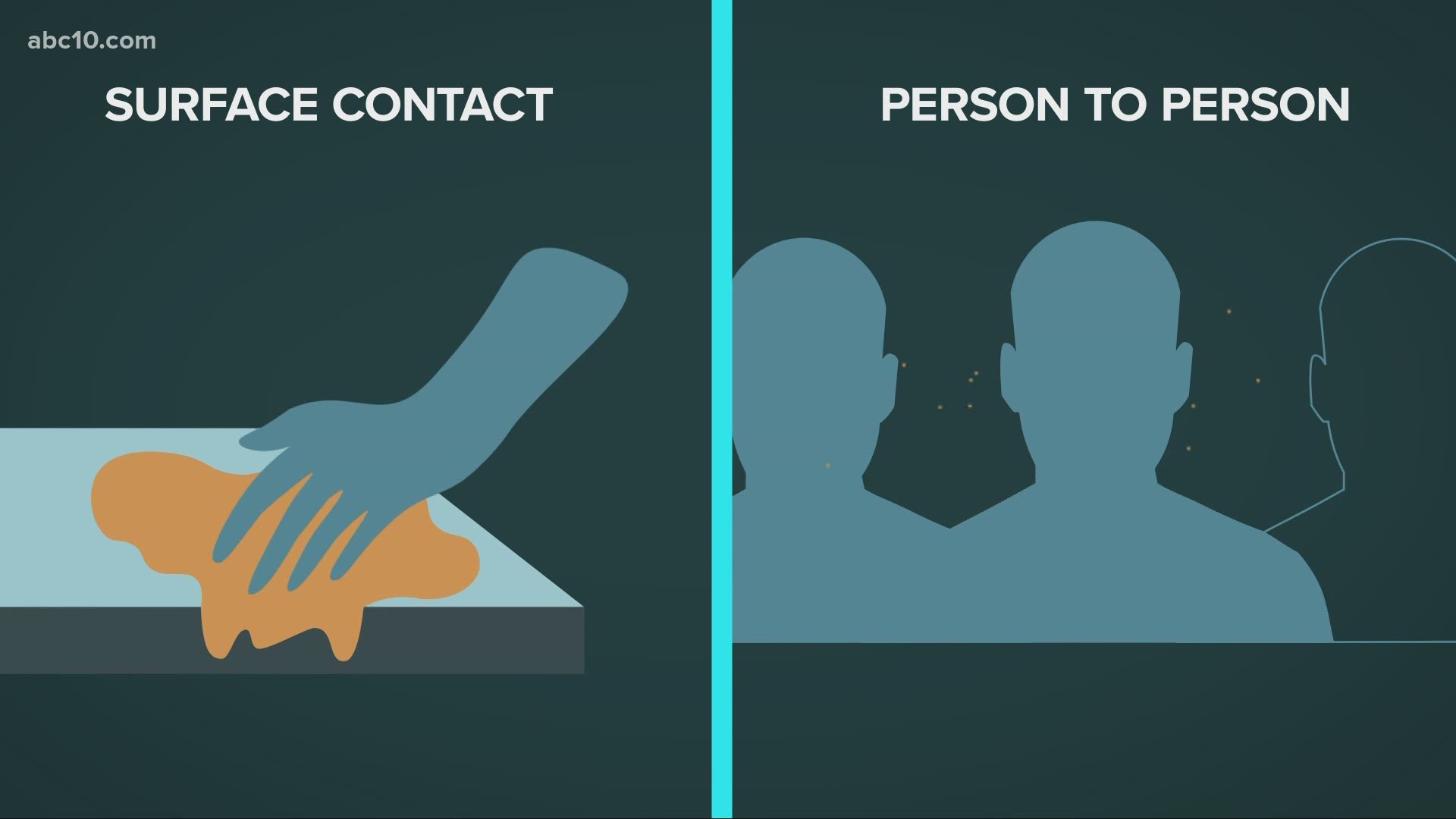The difference between person-to-person and person-to-surface spread of ...