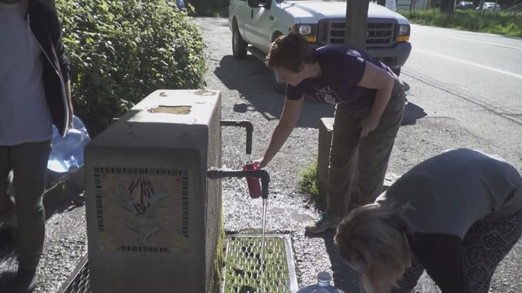 Magical springs: Nevada City’s local watering hole | abc10.com
