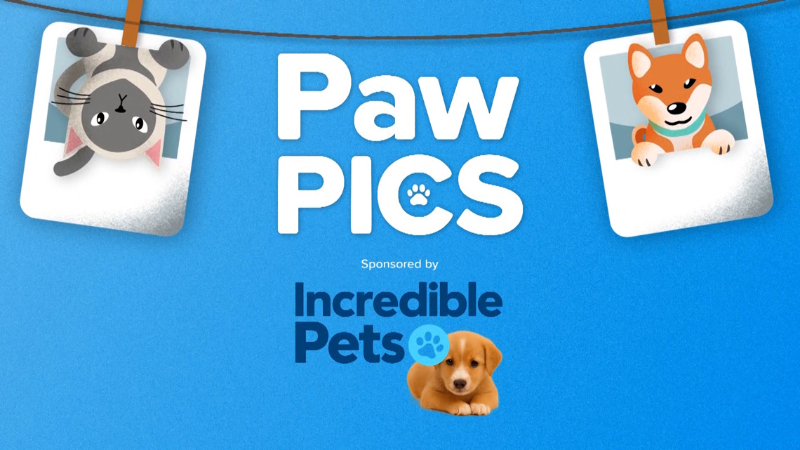 Paw Pics | A collection of pets from across Northern California | abc10.com