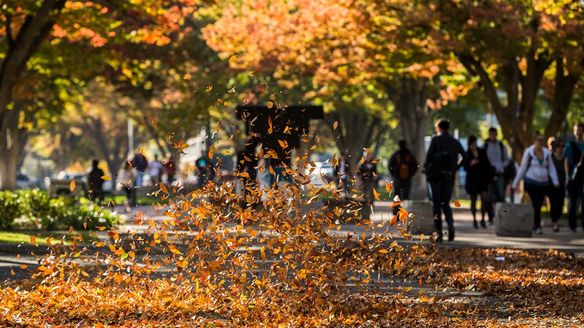 10 things to do in Northern California this weekend (Nov. 5-6) | abc10.com