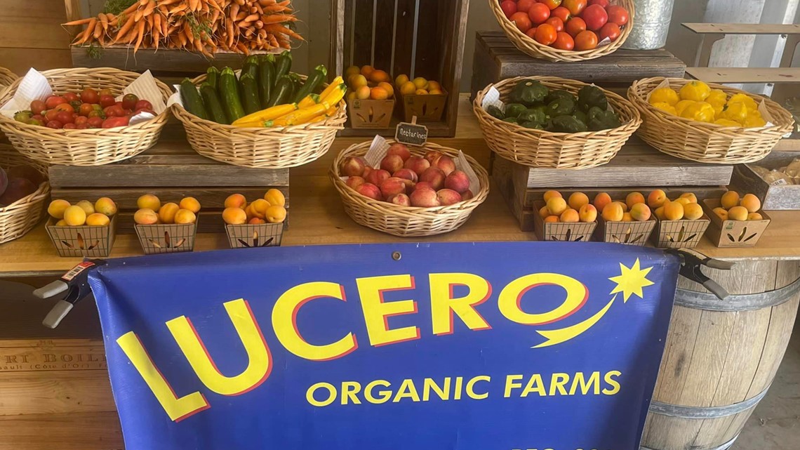 Lucero Organic Farm in Galt to host fall gathering for community ...