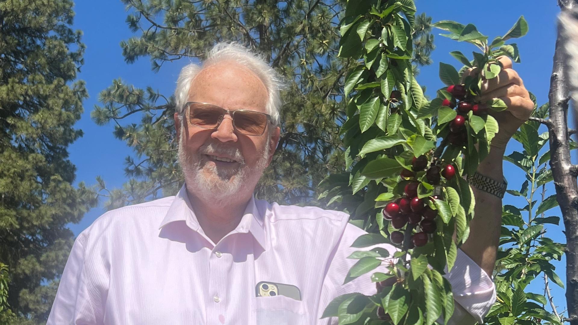 Cherry picking in California: Meet Placerville farmers | abc10.com