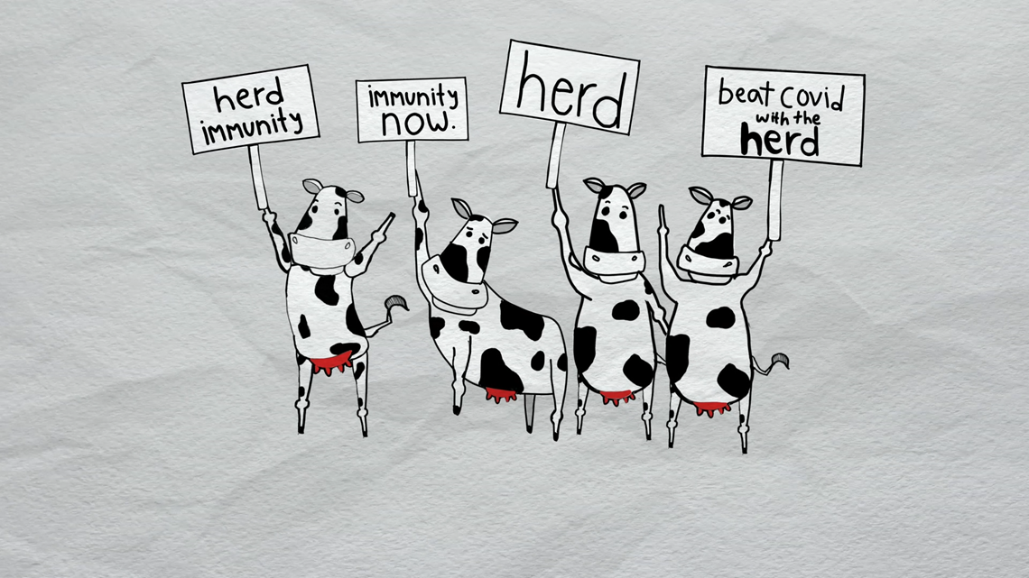 Cartoon: learn the true story of how we figured out herd immunity ...