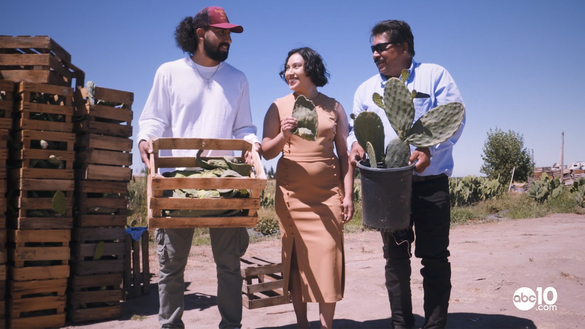 Oakdale family farm growing nopales | abc10.com