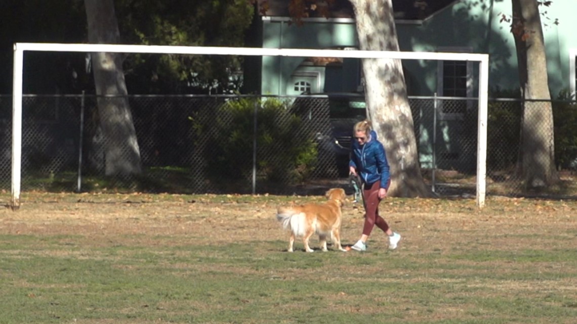 The fight to keep an unofficial off-leash dog park in Curtis Park ...