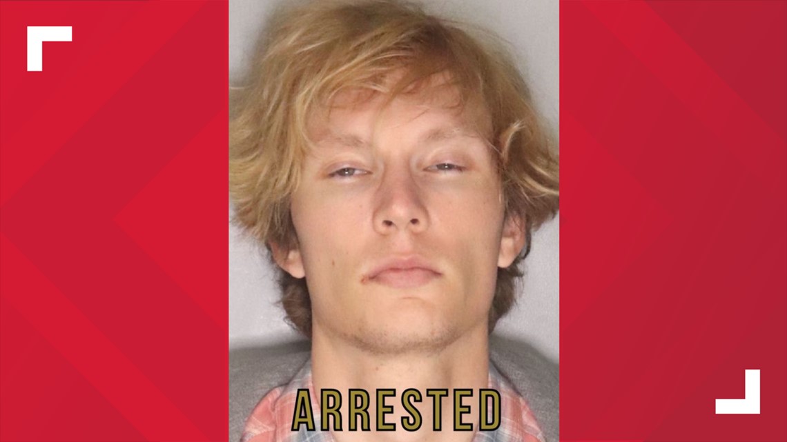 Aleksandr Rudenko: Man accused of sexual assault on minor | abc10.com