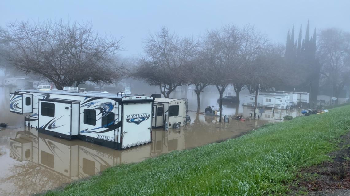 'He's starting to feel like a horse again' | River the rescue horse ...