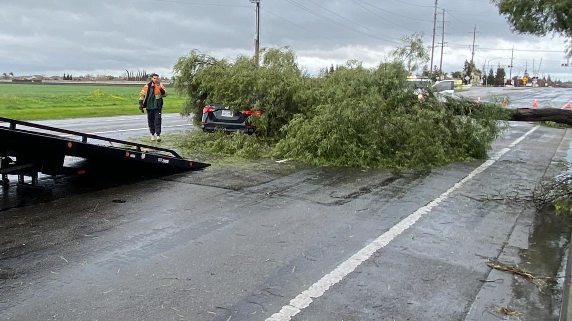Stockton driver survives fallen tree on his car amid storm | abc10.com