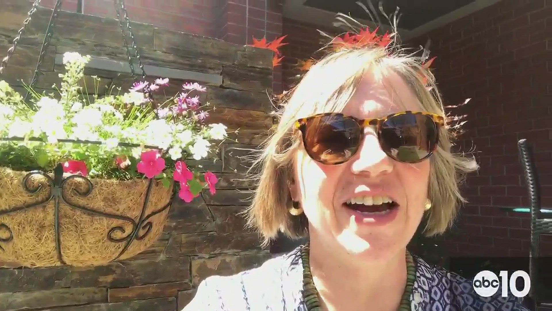 Queen Sheba brings a little bit of Africa to Sacramento | abc10.com