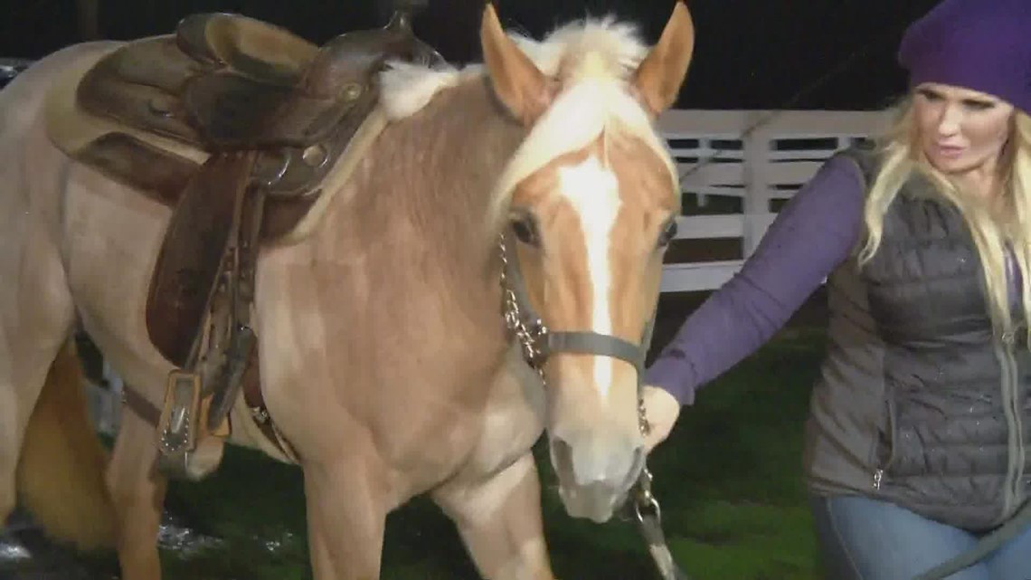 Winter Storm: Ranch staff in Northern California prep for potential ...