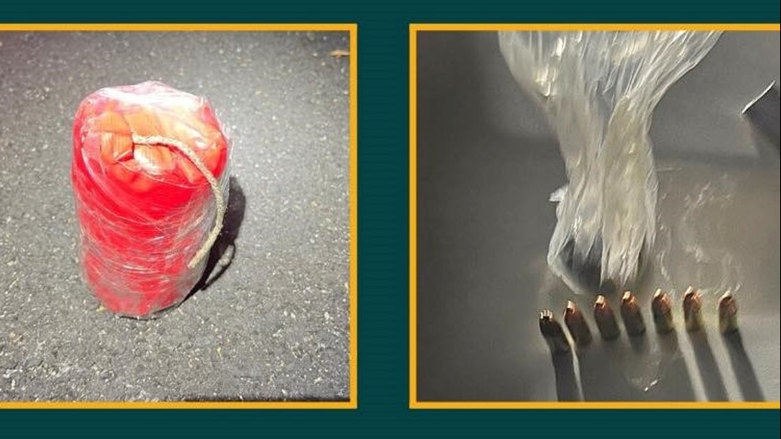 Homemade explosives found on Sacramento man in Placer County | abc10.com