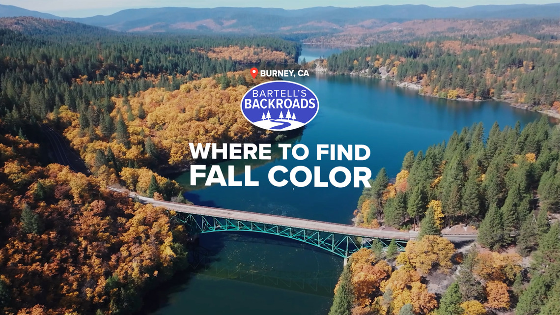 Hidden Fall Colors in Northern California: Discover Burney’s Brilliant ...