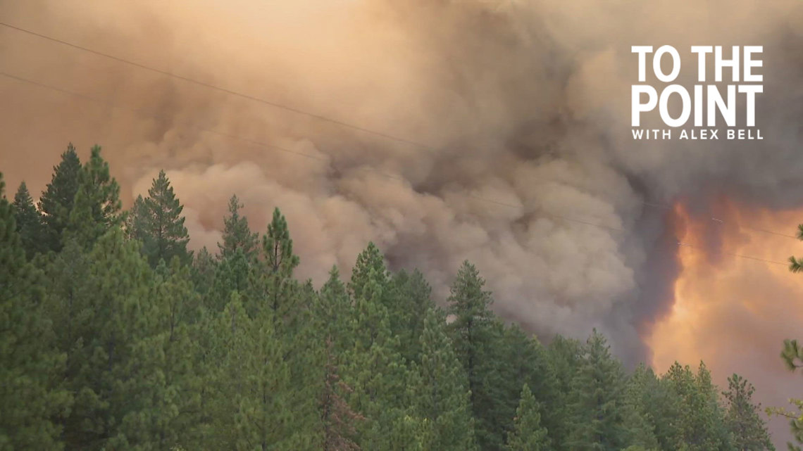 Lack of fire history allows Park Fire to burn rapidly, officials say ...