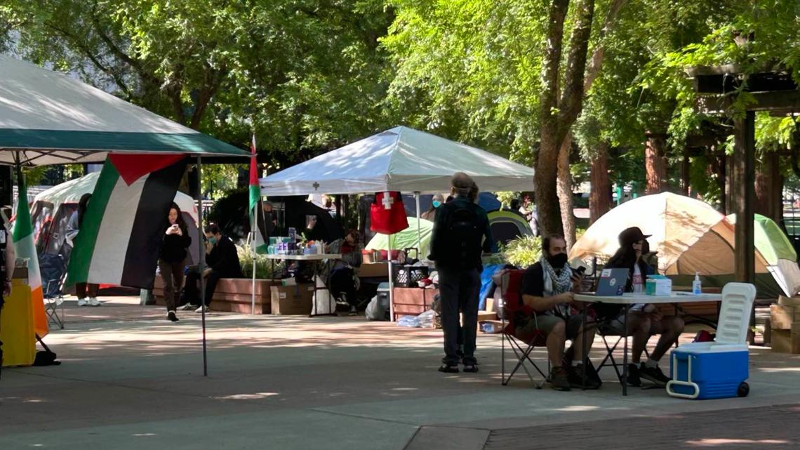 Sacramento State Protests: Encampment near library over Gaza war ...