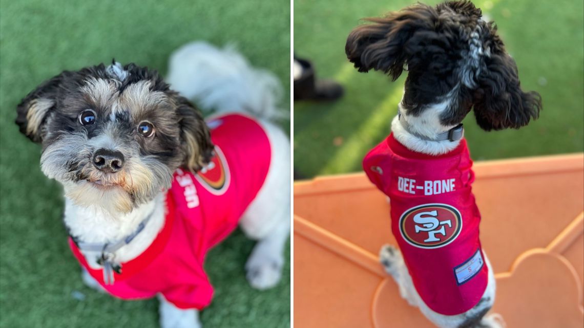 Dee-Bone Samuel in the finals for 'Most Pupular' pup | abc10.com