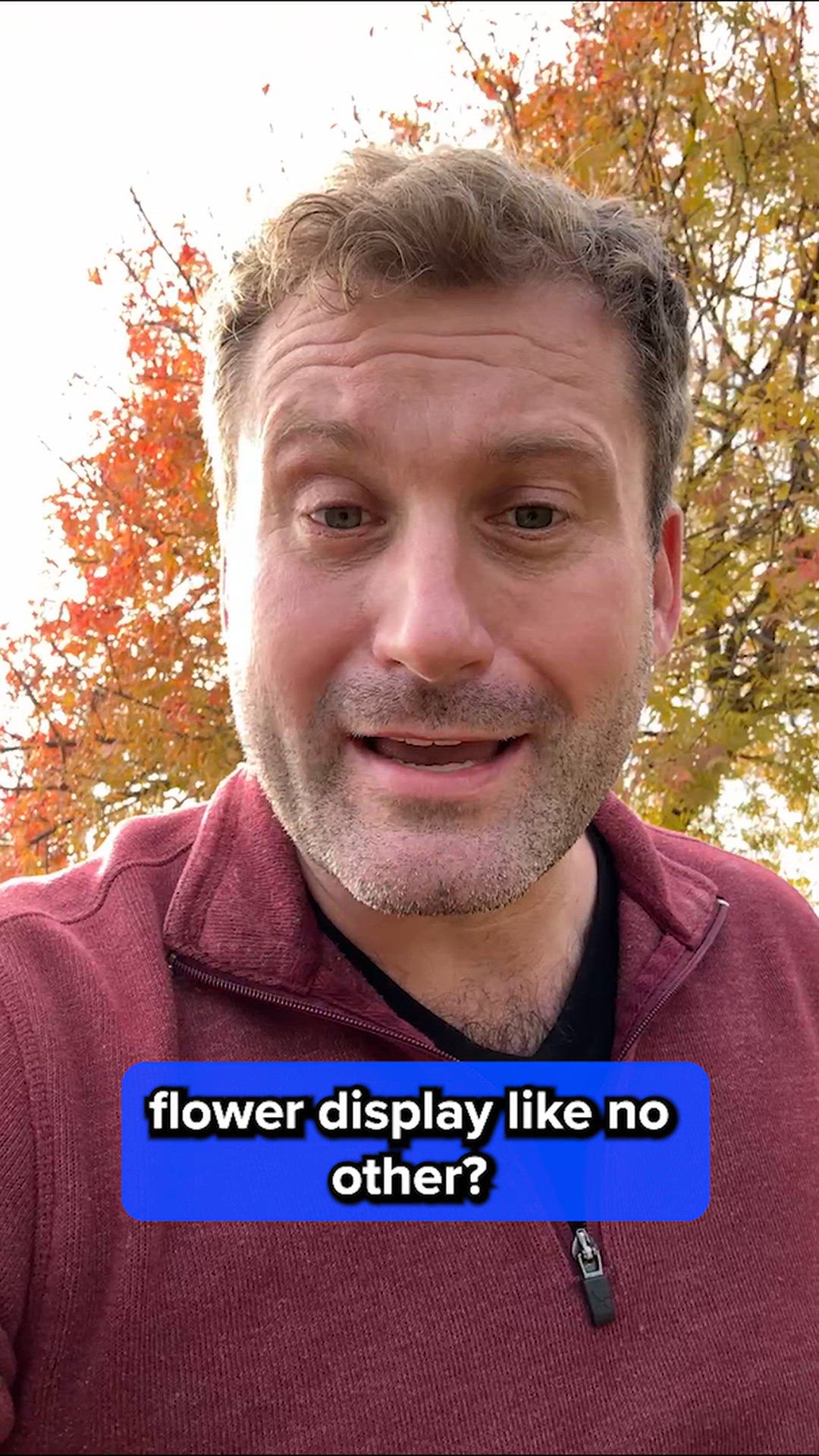 Ananda Village a spring flower display | abc10.com