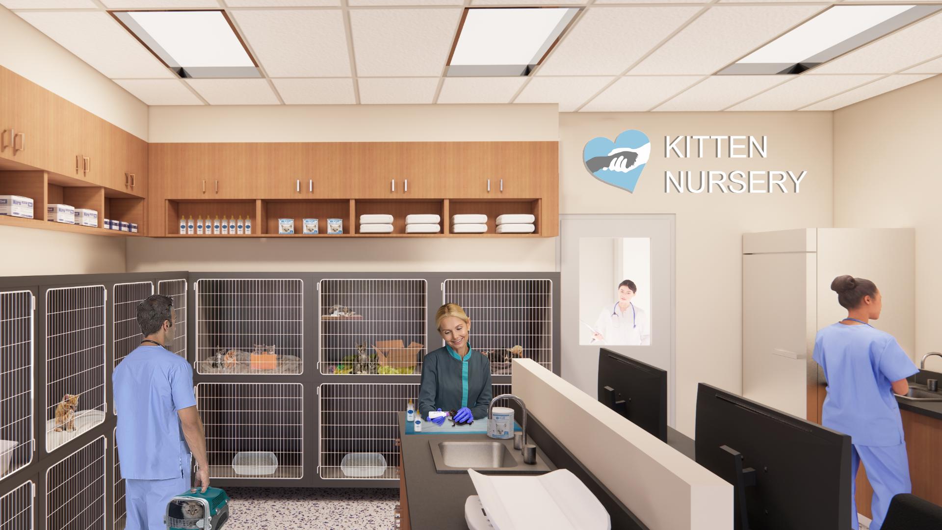 'Expanding lifesaving care': Placer SPCA set to open new $12.5M ...