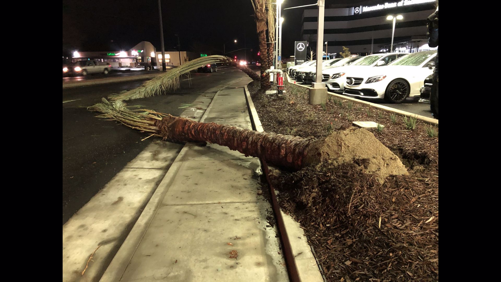Photos: Fallen trees damage homes, cars after January Storm | abc10.com