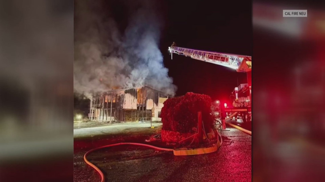 Woman arrested after fire at Auburn’s Cal Ida Lumber Mill, officials ...