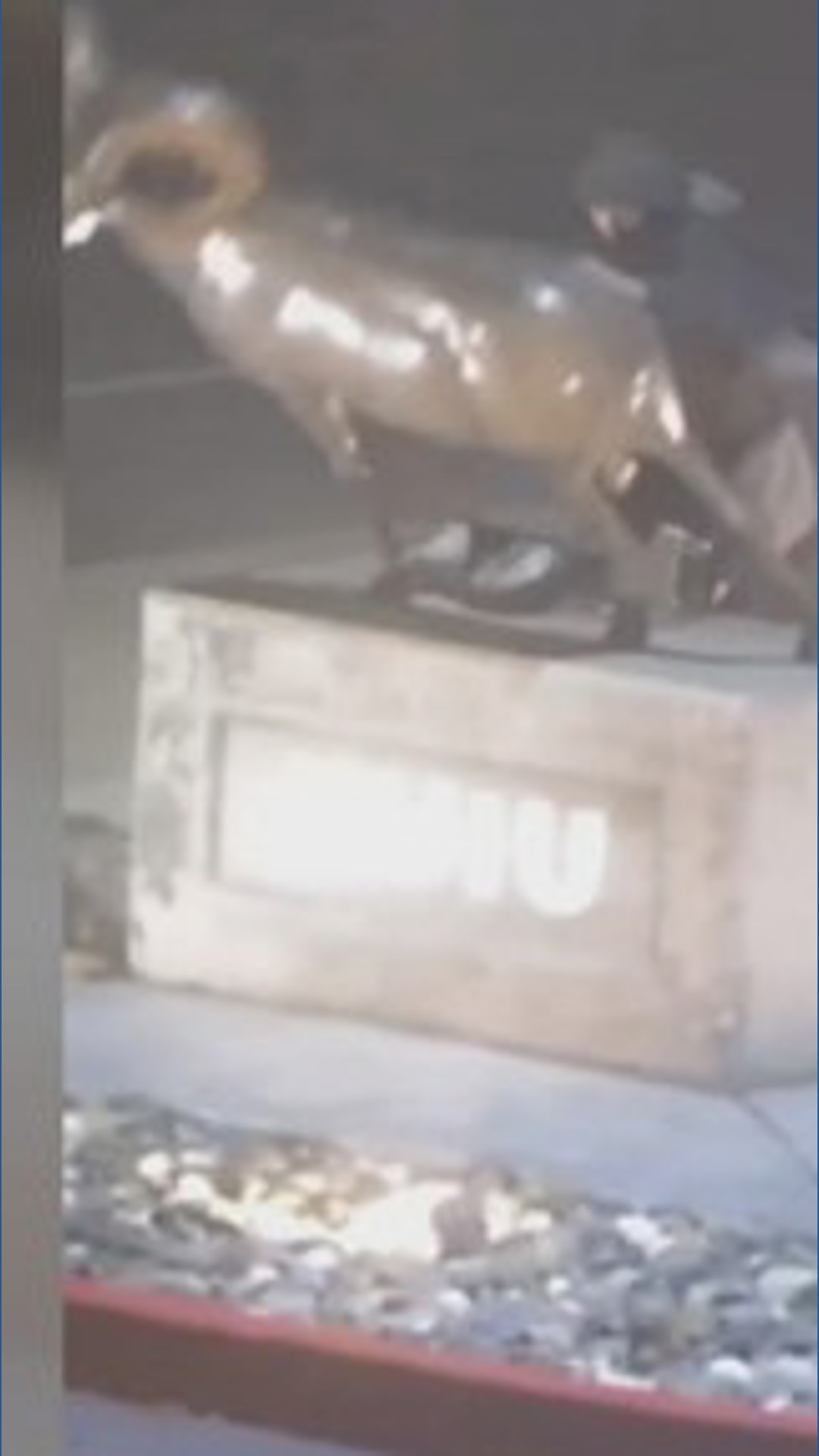 Dixon police investigate New Year’s Eve theft of KUIU bronze ram statue ...