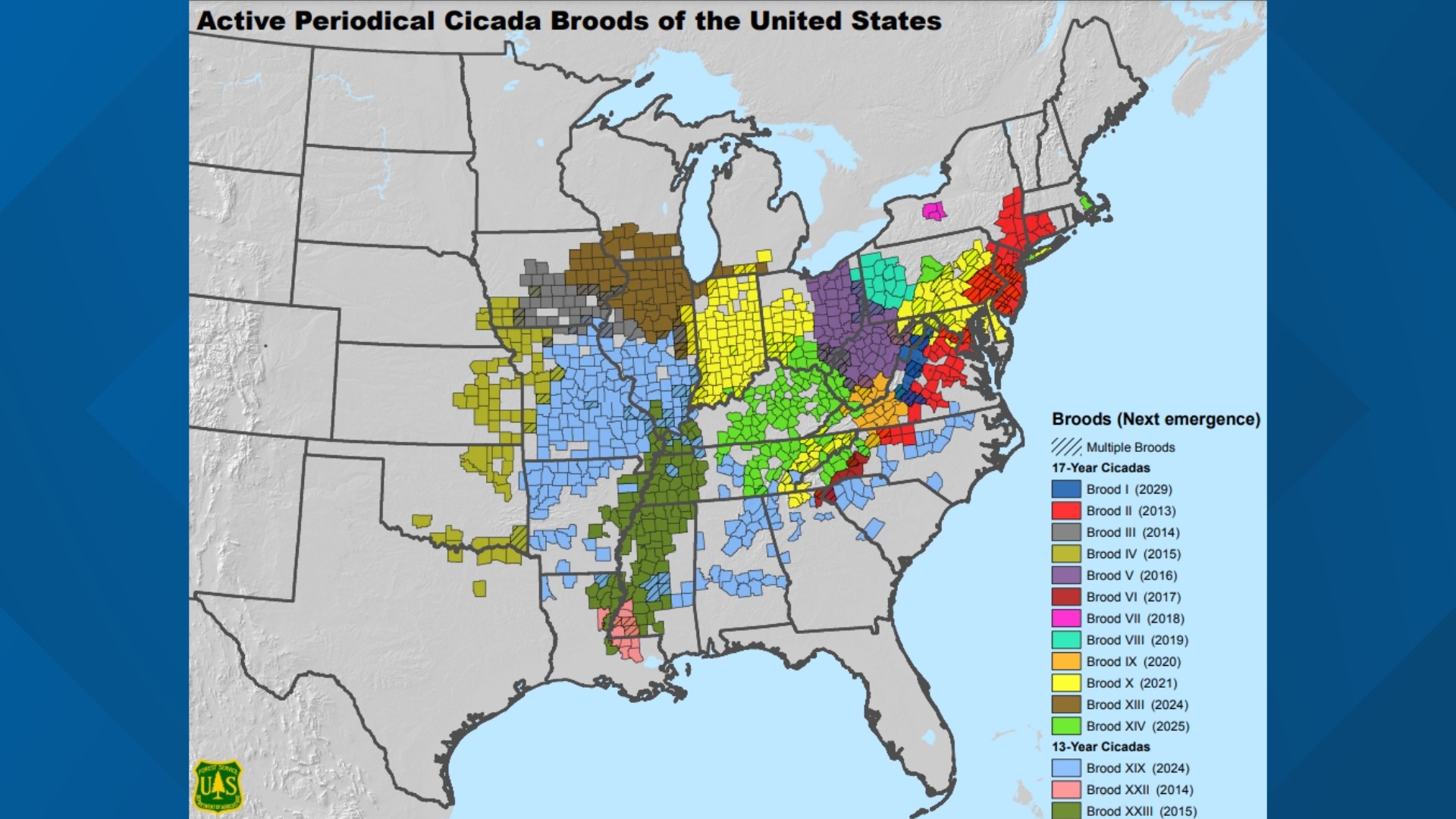 Cicada 'invasion' coming to parts of US: What about California? | abc10.com