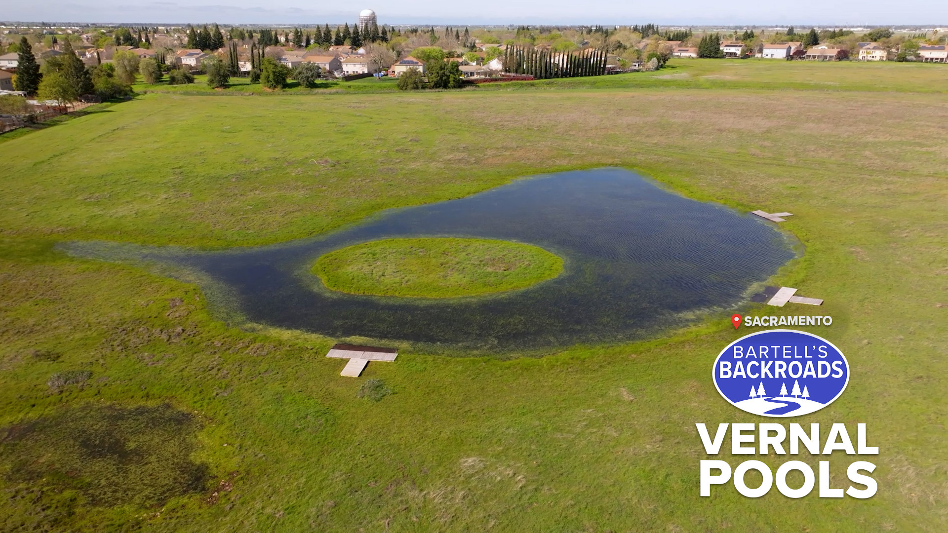 Hidden Wetlands: One of the Last of California’s Vernal Pools| Bartell ...
