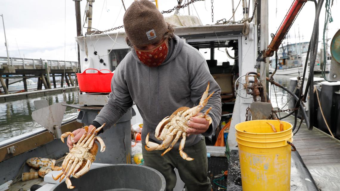 California’s commercial Dungeness crab season delayed again | abc10.com