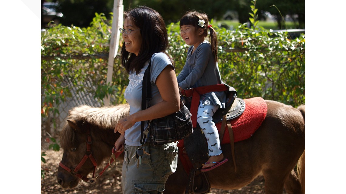 Land Park Pony Rides closing as expenses rise, ponies get older | abc10.com