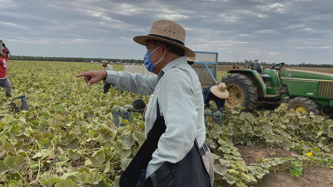 Luis Magana is there when farmworkers and immigrants need him | abc10.com