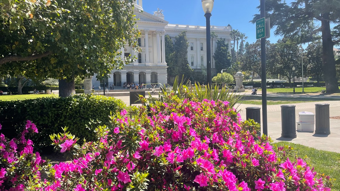 Things to do in Northern California: April 29-30, 2023 | abc10.com