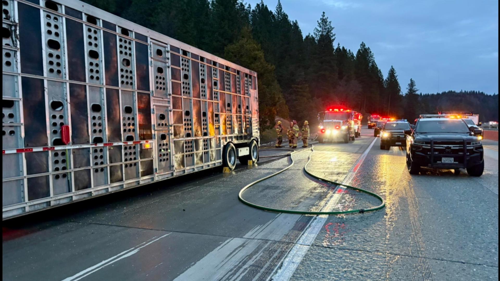 Several cattle killed in brake fire on truck along I-80 near Alta ...