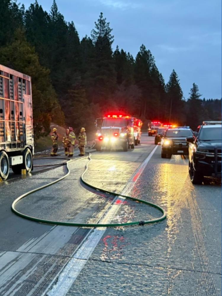 Several cattle killed in brake fire on truck along I-80 near Alta ...