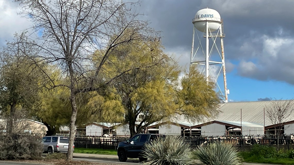 10 things to know about the new 279 area code "overlay" for the 916 ...