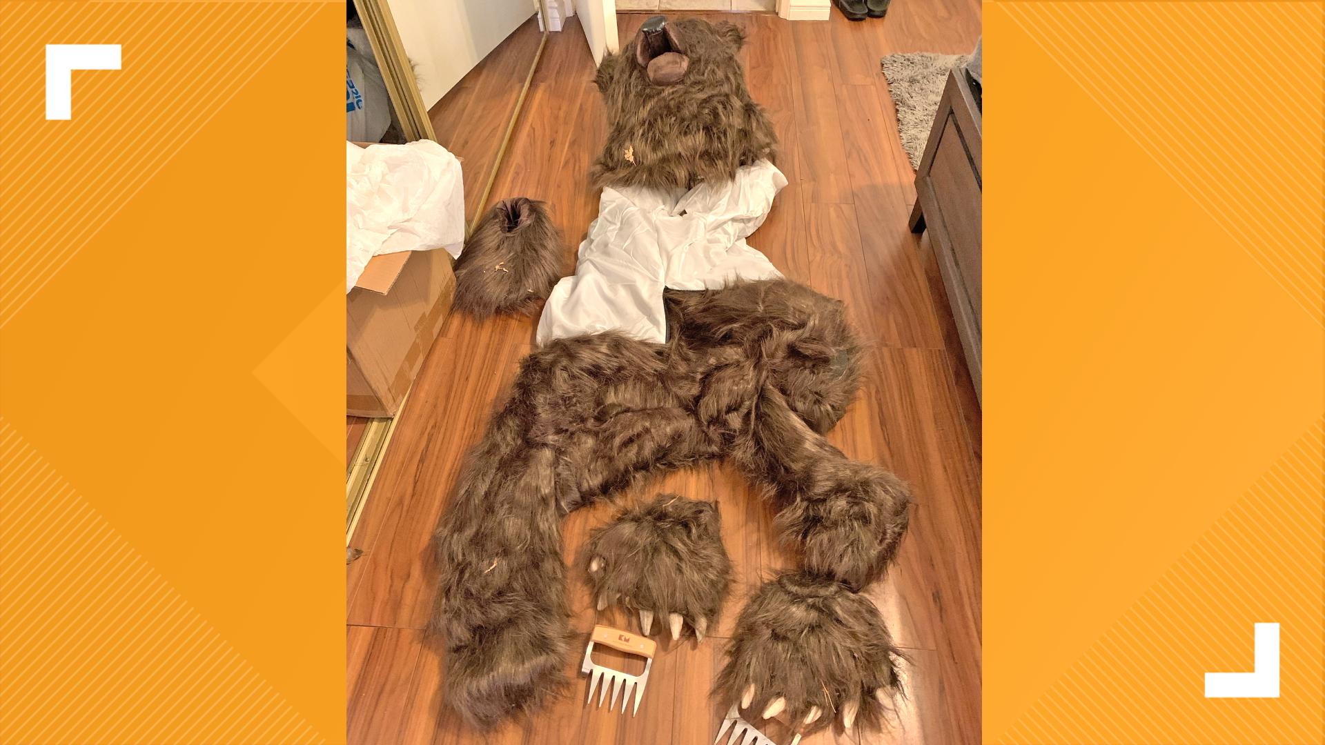 Suspects with bear suit accused of insurance fraud in California ...