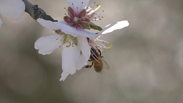 Tips to actually reach a live representative at EDD's call center ...