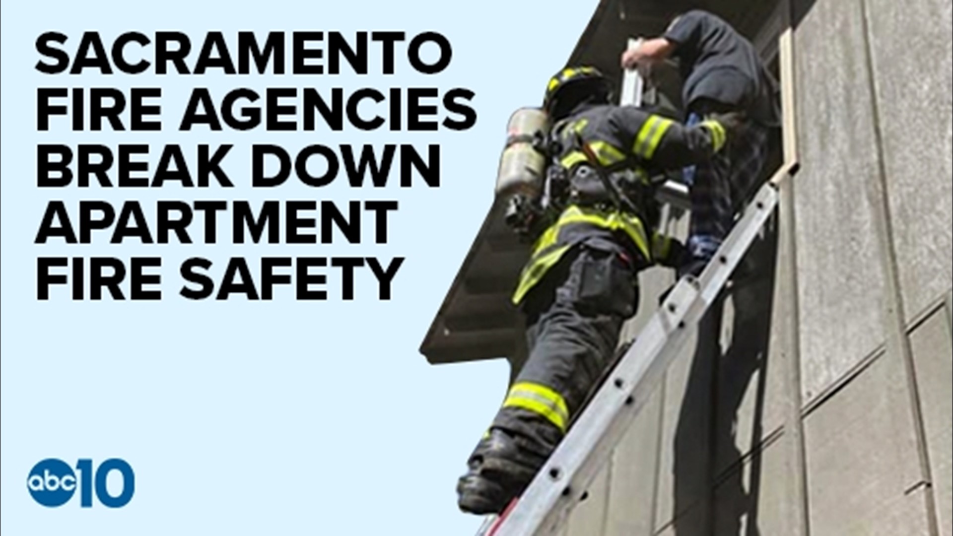 WATCH: Headbanging dog rocking out to music will make your day | abc10.com