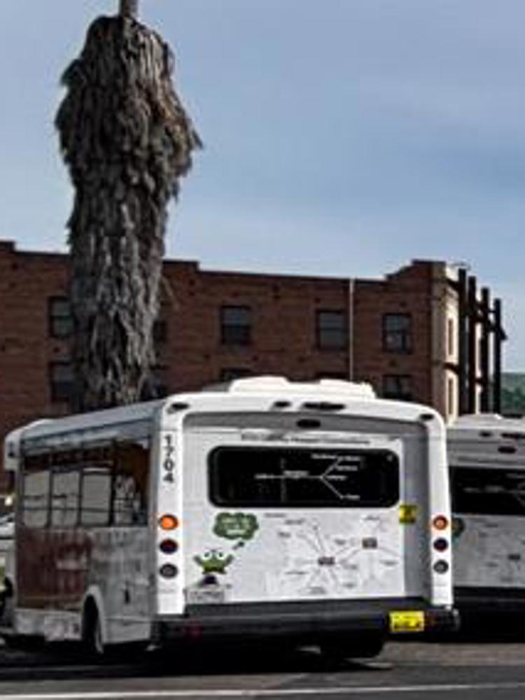 San Joaquin Regional Transit District halts service due to board ...