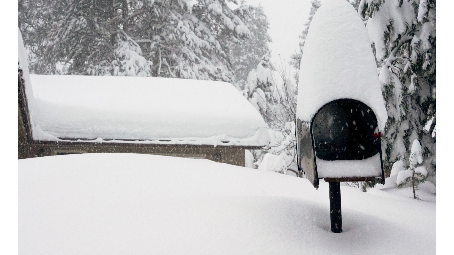 California Blizzard Photos: Here are the scenes from Saturday | abc10.com