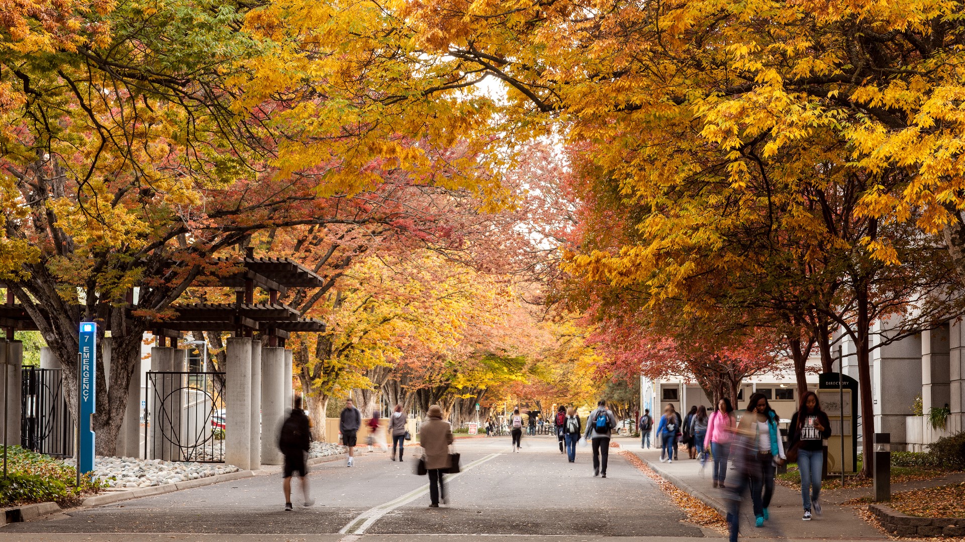 10 things to do in Northern California this weekend (Oct. 8-9) | abc10.com