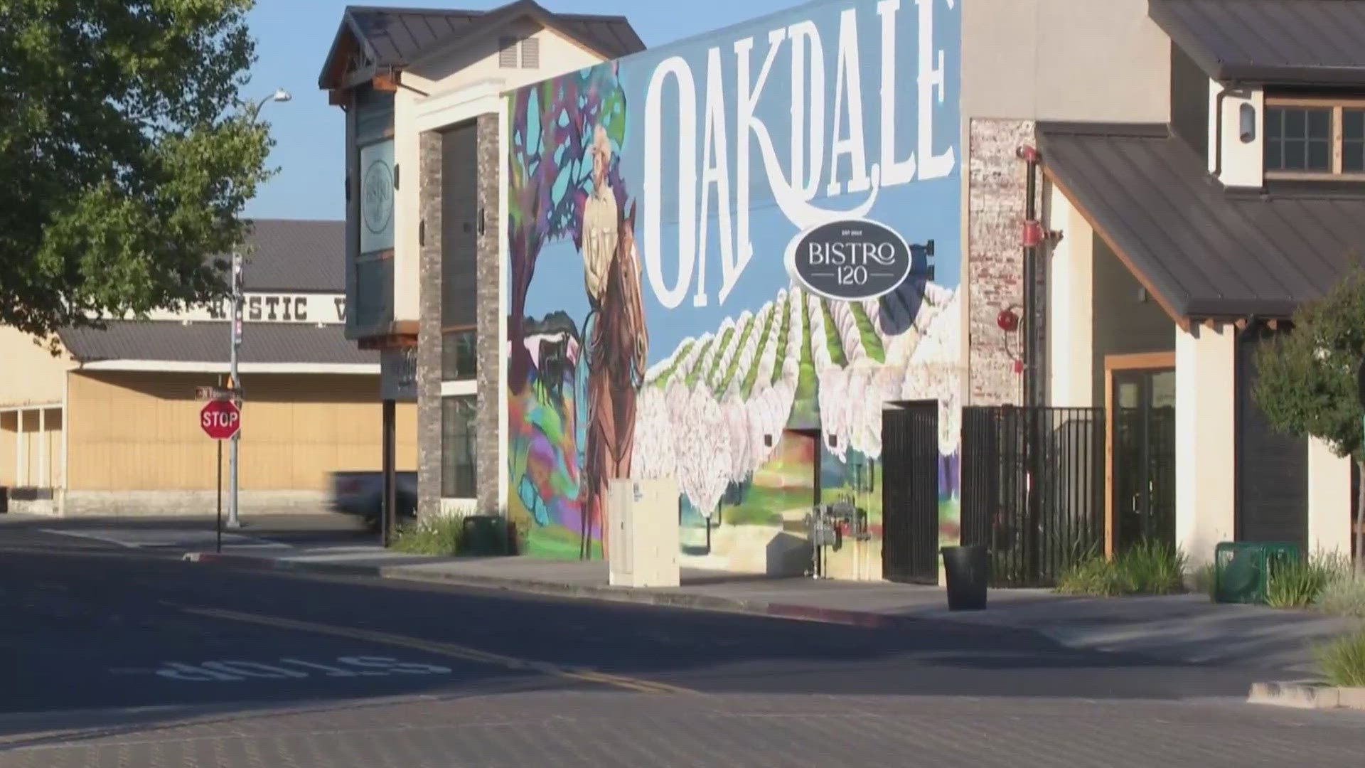 Oakdale's first Pride event moves forward after city approves permit ...