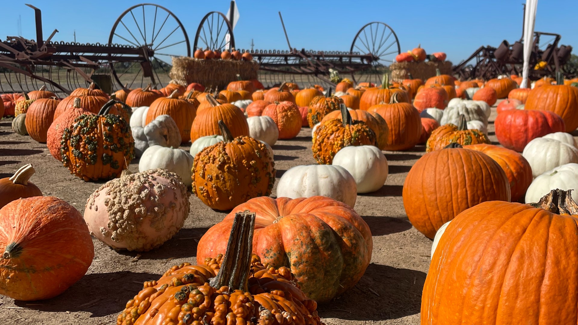 10 things to do in Northern California this weekend (Oct. 29-30 ...