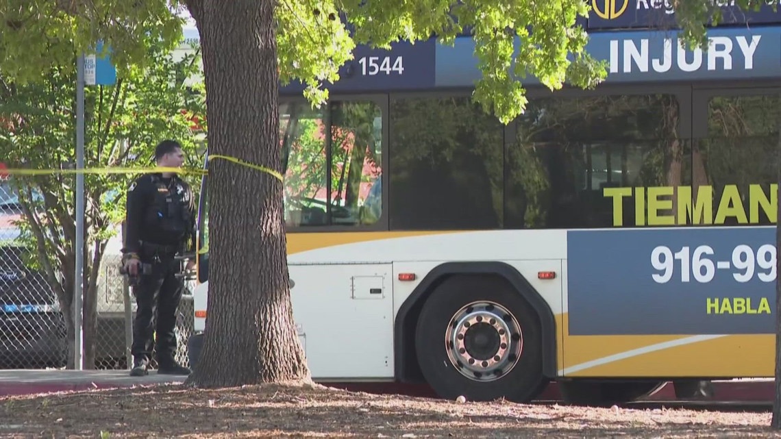 Michael Berry: Teen allegedly stabbed to death by SacRT employee ...