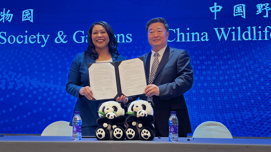 San Francisco to receive 2 pandas from China | abc10.com