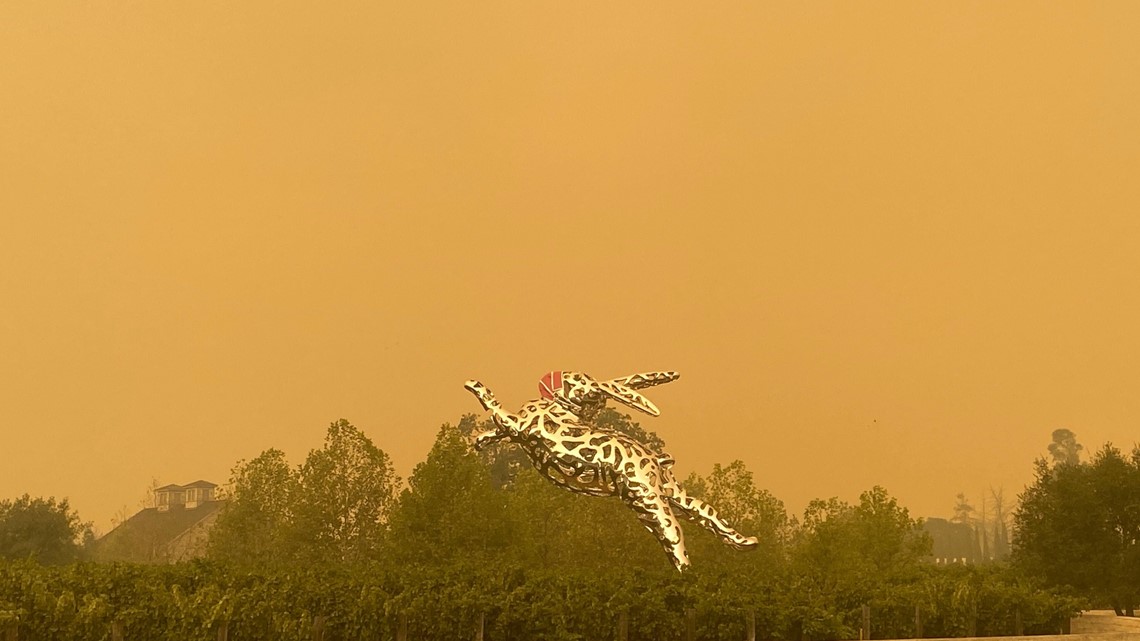 What the Glass Fire looks like up close | abc10.com