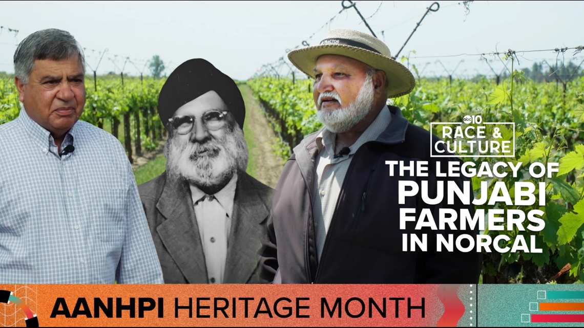 Punjabi farmers thrive in Lodi with family's agricultural legacy ...