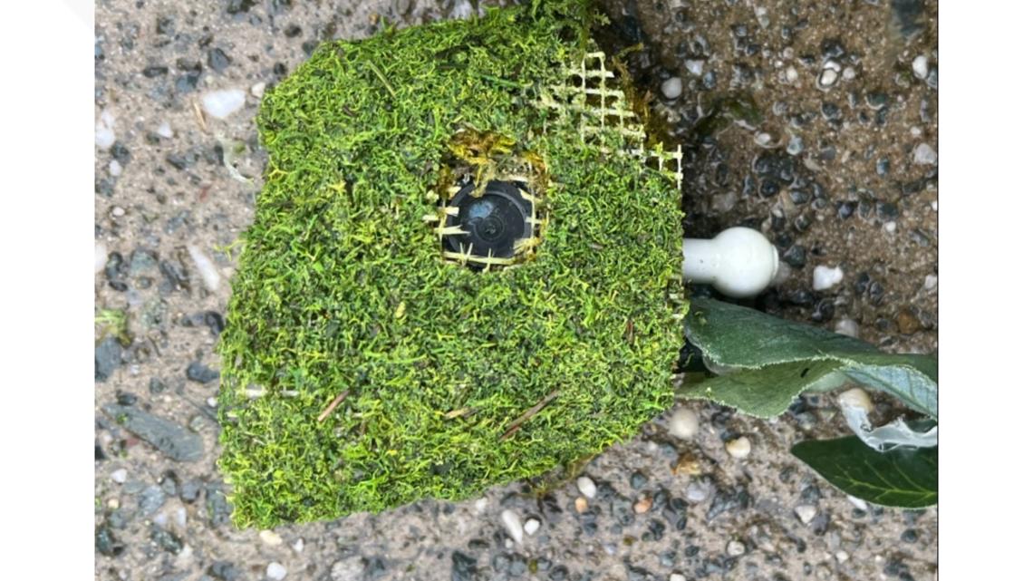 Explore the Mysteries of the Oregon Vortex | abc10.com