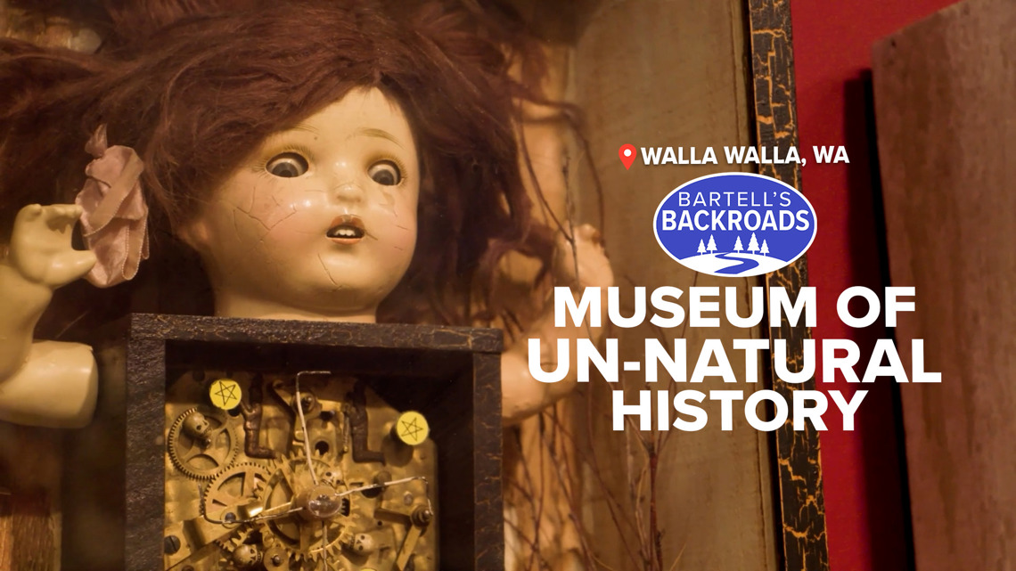 'Stranger Things' vibes: The creepiest museum you’ve never heard of in ...