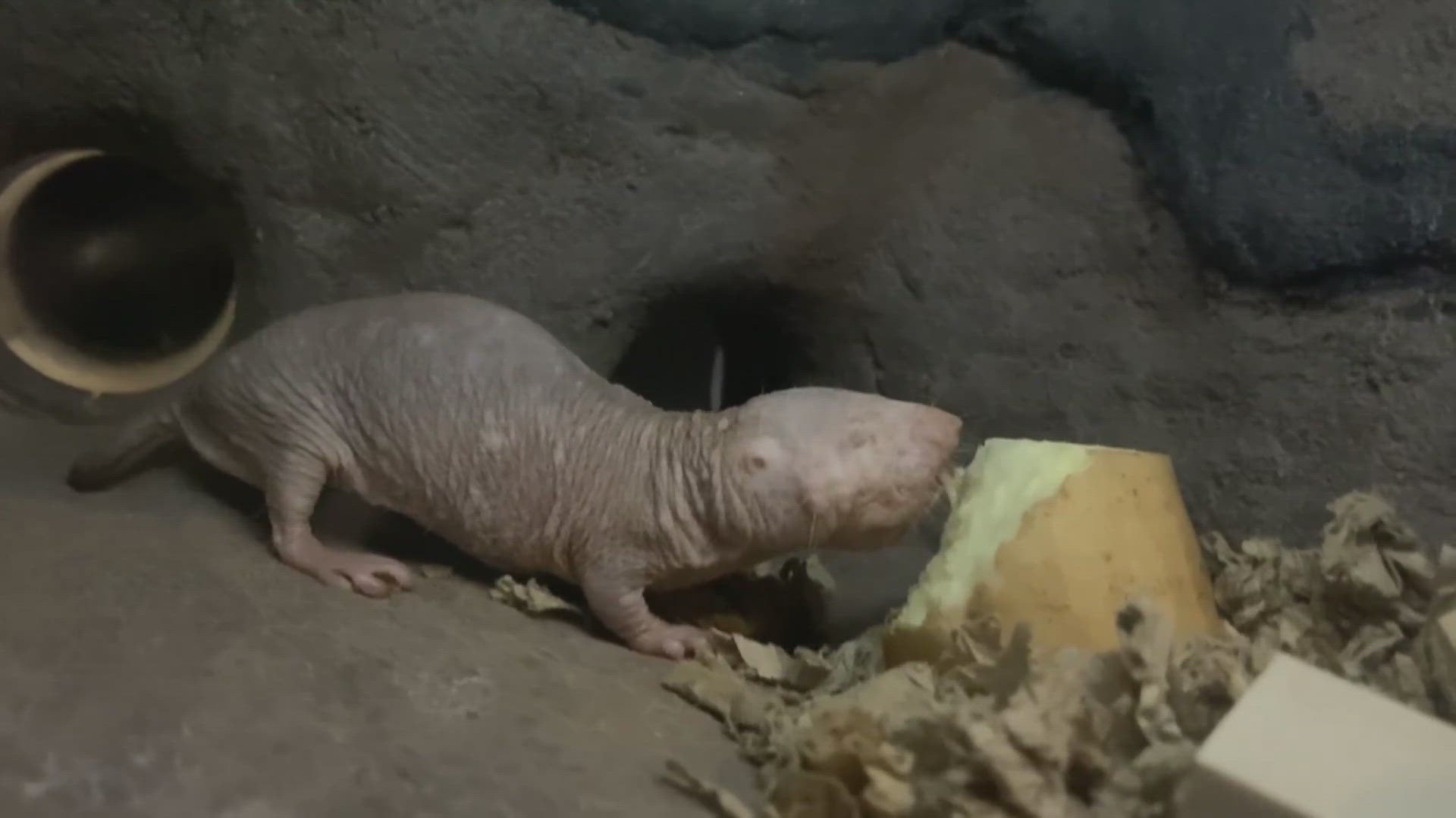 LIST: US News reveals best cities to live in rankings for 2025 | abc10.com