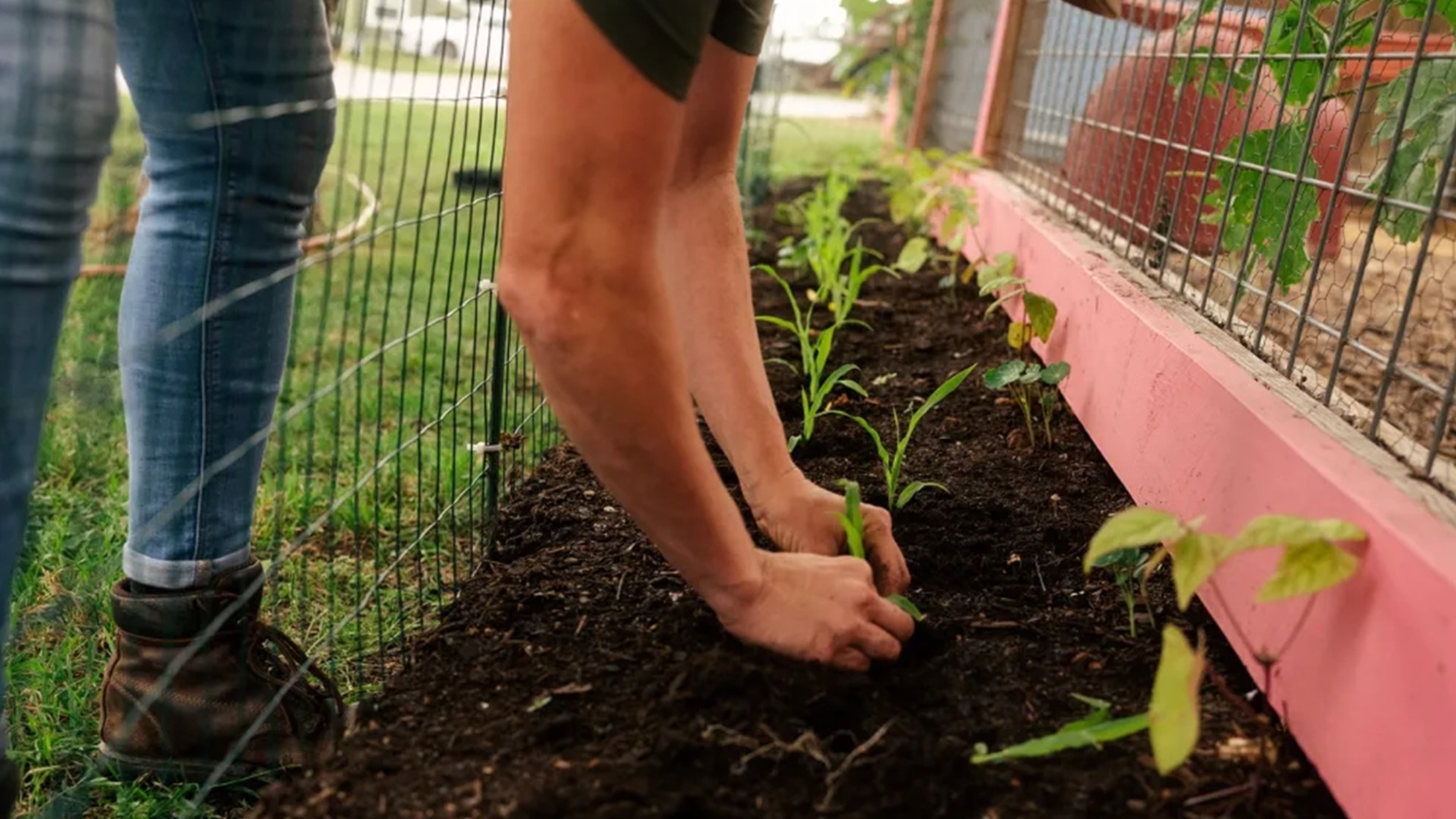 What can California learn about Texas' homelessness efforts | abc10.com